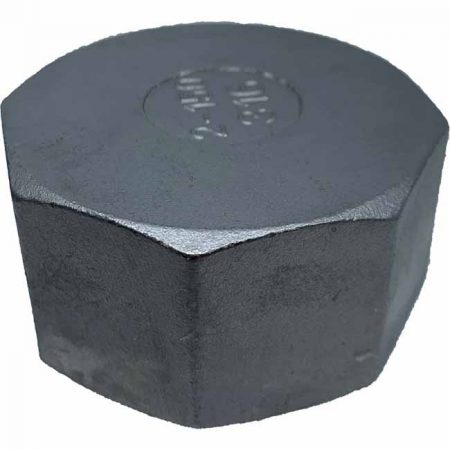 BSP Cap 316 S S 2 Inch - 50mm – Mister Stainless
